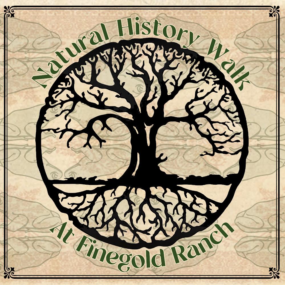 Natural History Walk at Finegold Ranch and Trust - Finegold Ranch and Trust